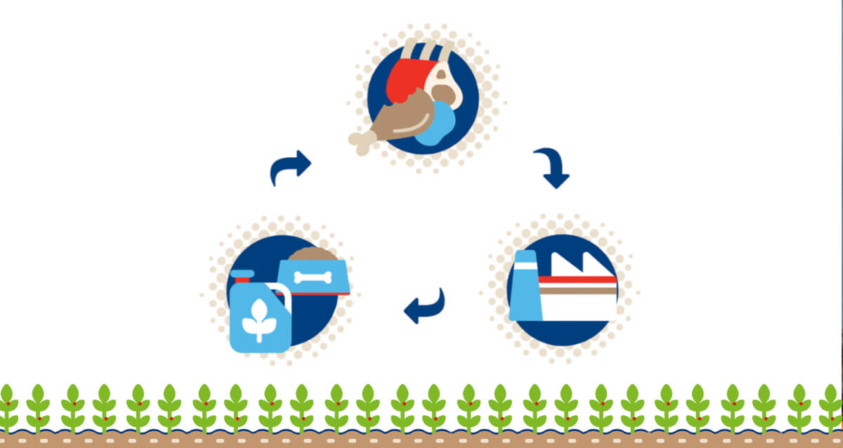 An essential service | Sanimax