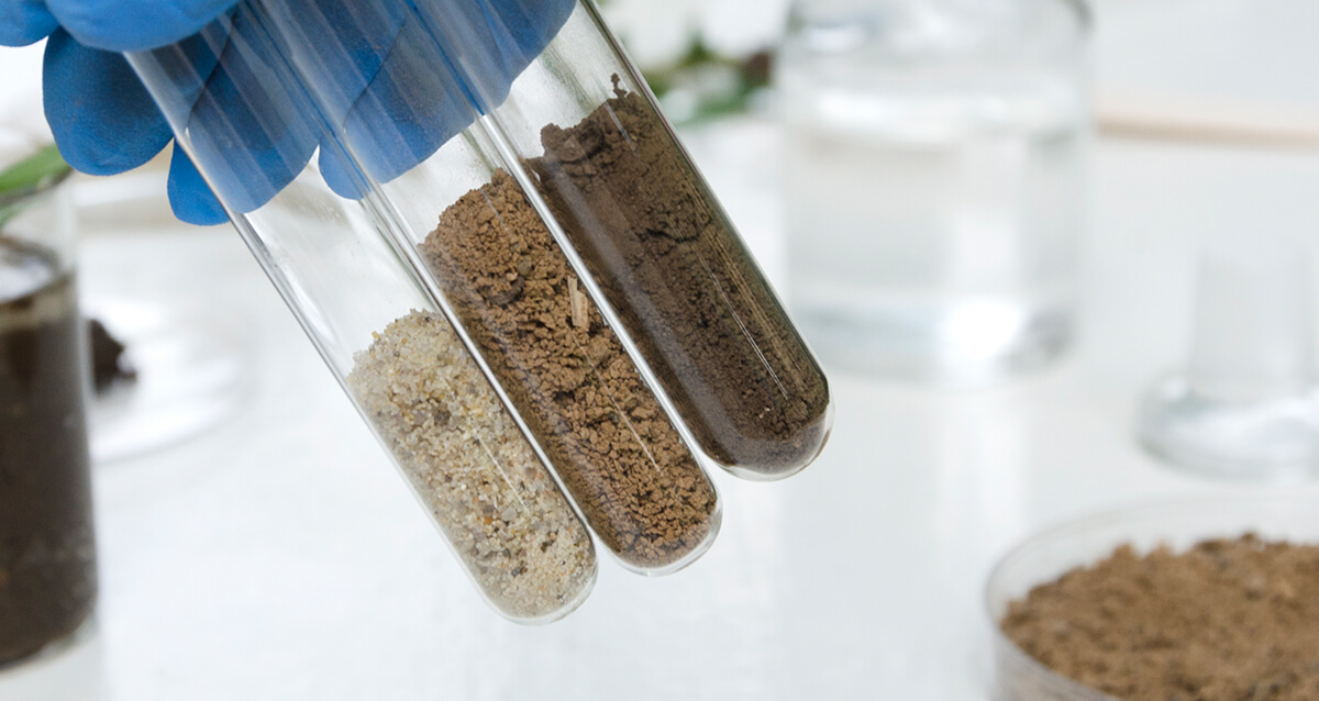 Organic waste collection service | Sanimax